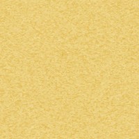 Линолеум TARKETT IQ GRANIT Granit Banana 0751 | купить в интернет ...